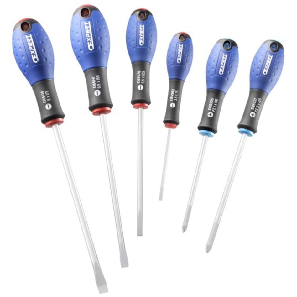 Facom Expert E160903 Set of 6 screwdrivers